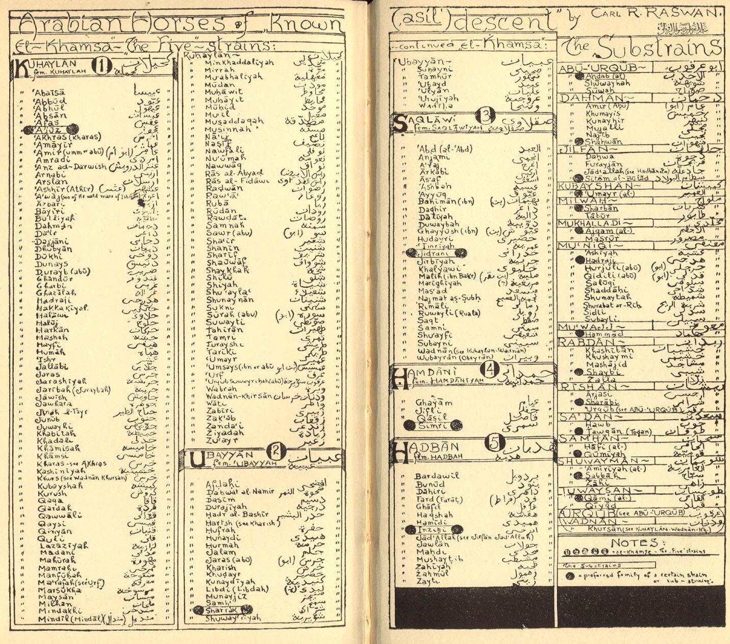 Arabian Horse History | Al Ex Arabians